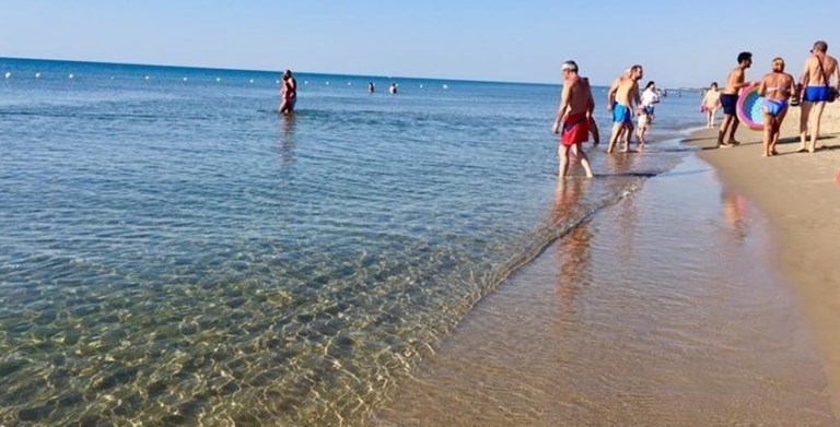 ViviWebTv - Ginosa | In spiaggia con la differenziata: campagna di ...